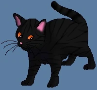 Rushflame | Warriors: The New World Wiki | Fandom