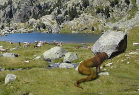 Ophiotaurus | Warriors Of Myth Wiki | Fandom