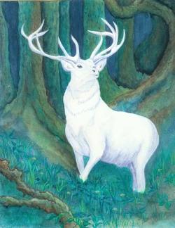 Magic White Stag Painting