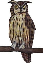 Strix | Warriors Of Myth Wiki | Fandom