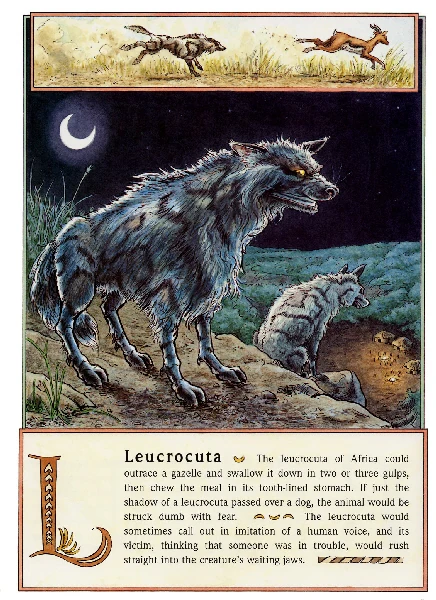 Leucrocuta | Warriors Of Myth Wiki | Fandom
