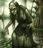 Hag Gallery | Warriors Of Myth Wiki | Fandom