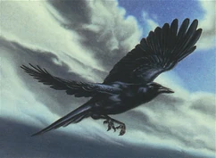Rain Bird | Warriors Of Myth Wiki | Fandom
