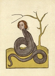 Draconopede | Warriors Of Myth Wiki | Fandom