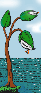 Barnacle Goose | Warriors Of Myth Wiki | Fandom