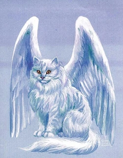 Winged Cat | Warriors Of Myth Wiki | Fandom