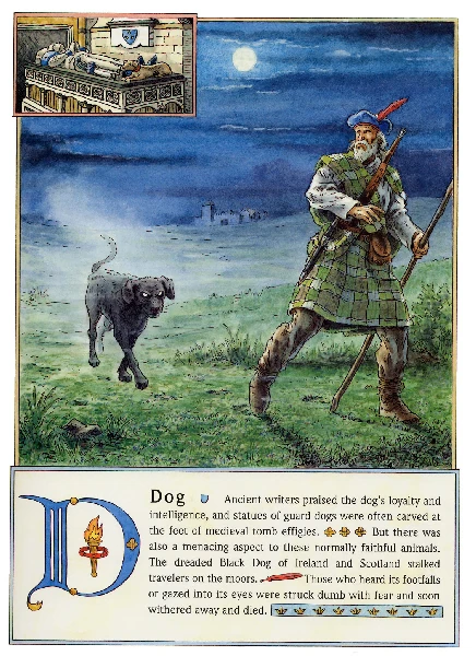 Black Dog | Warriors Of Myth Wiki | Fandom