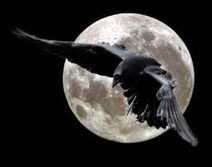 Valravn | Warriors Of Myth Wiki | Fandom