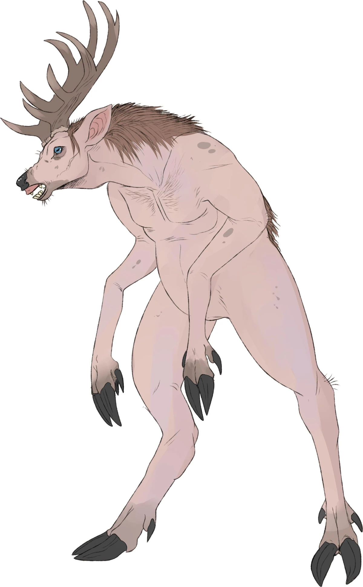Weredeer | Warriors Of Myth Wiki | Fandom