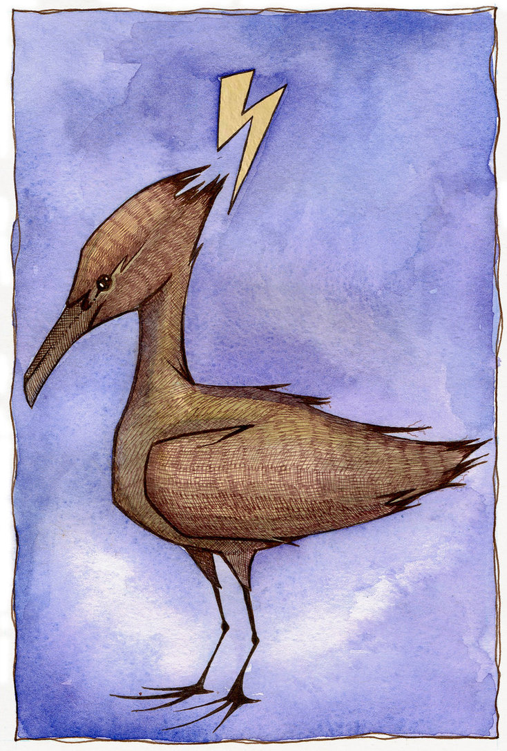 how to draw lightning bird