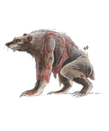 Werebear Gallery | Warriors Of Myth Wiki | Fandom