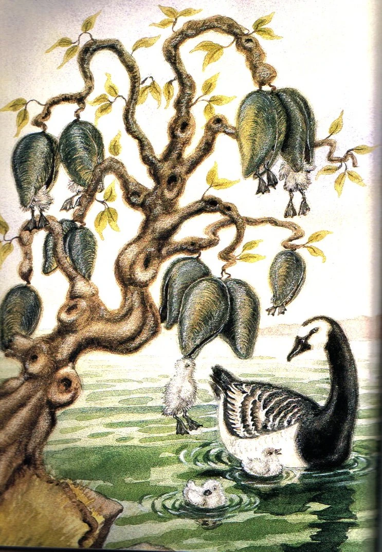 Barnacle Goose | Warriors Of Myth Wiki | Fandom