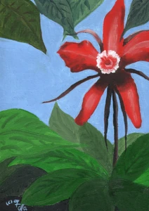 Amaranth | Warriors Of Myth Wiki | Fandom