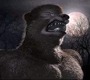 Werebear Gallery | Warriors Of Myth Wiki | Fandom