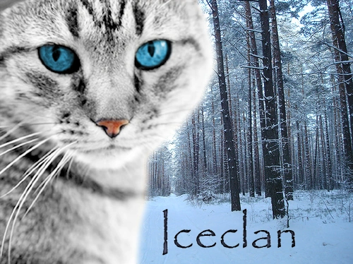 IceClan | Warriors of the Frozen Forest Wiki | Fandom
