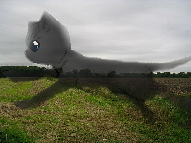 A Ghost Tail | Warriors Share Wiki | Fandom
