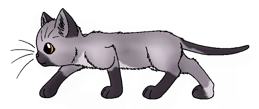 Lilypaw | Warriors Share Wiki | Fandom