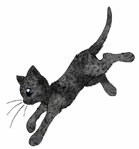 Fernstar | Warriors Share Wiki | Fandom