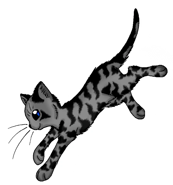 Silverfrost | Warriors Share Wiki | Fandom