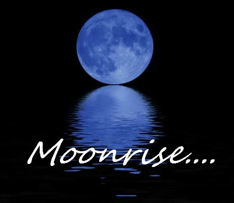 Moonrise | Warriors Share Wiki | Fandom