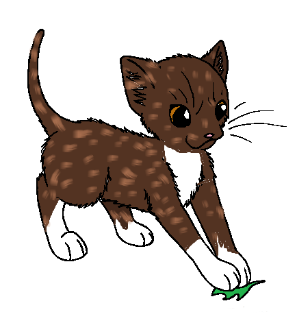 Dustpaw | Warriors Share Wiki | Fandom