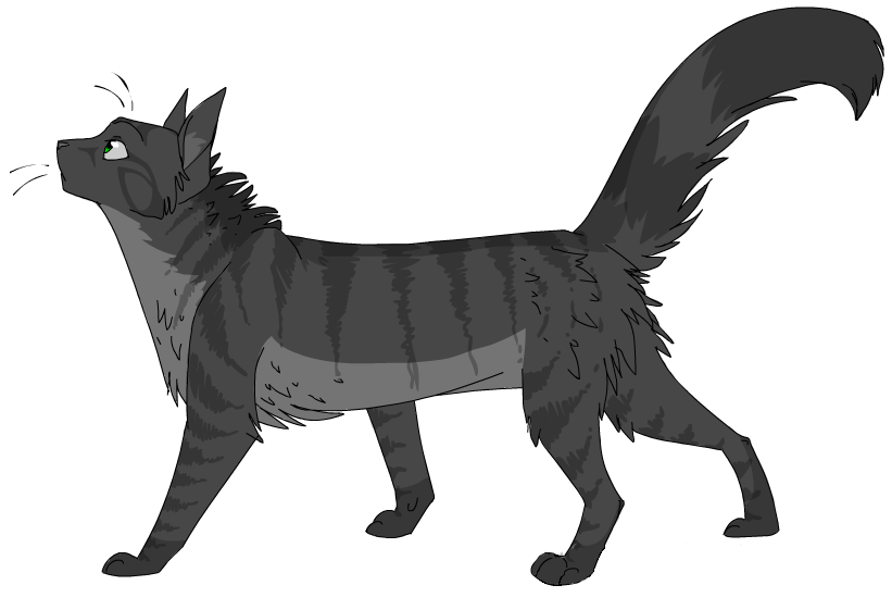 Rune | Warriors:The New Generation Wiki | Fandom