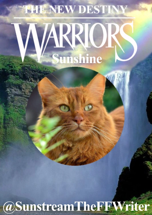 Book 1: Sunshine | Warriors: The New Destiny Wiki | Fandom