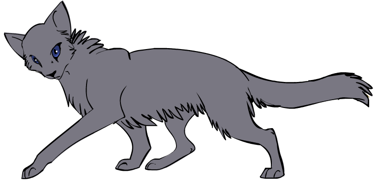 Mistystar | Warrior Cats Wiki | Fandom