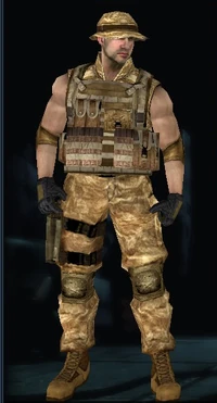 Assault | Warrock Wiki | Fandom