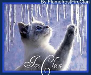 IceClan | WarriorcatsRP Wiki | Fandom