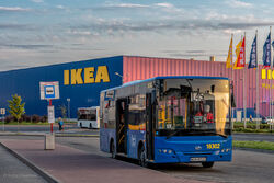 Stalko | Warszawikia | Fandom