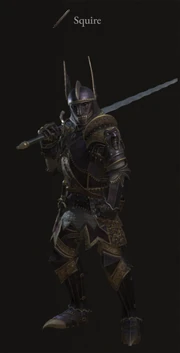 Squire (Swordsman) | Wartales Wiki | Fandom