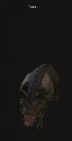 Boars | Wartales Wiki | Fandom