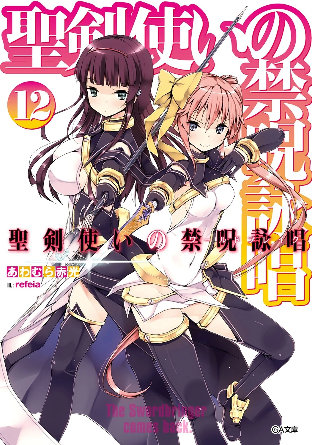 Seiken Tsukai no World Break Light Novel Volume 12 | Seiken Tsukai no ...