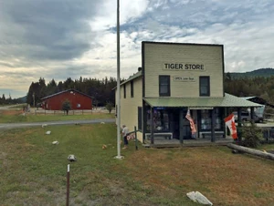 Tiger | Washington State Wiki | Fandom