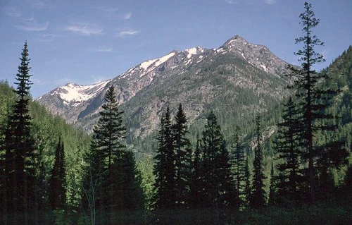 Robinson Mountain | Washington State Wiki | Fandom