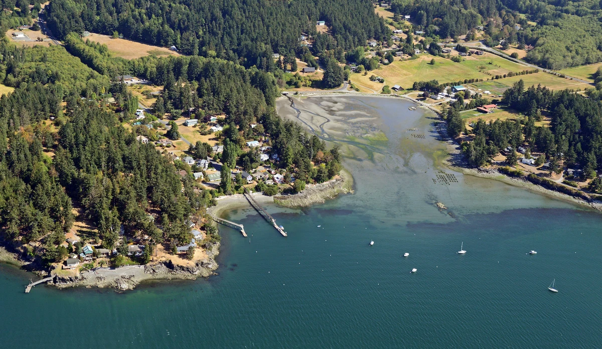 Olga | Washington State Wiki | Fandom