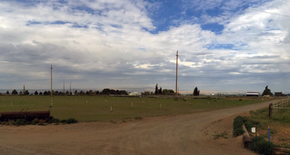 Humorist | Washington State Wiki | Fandom