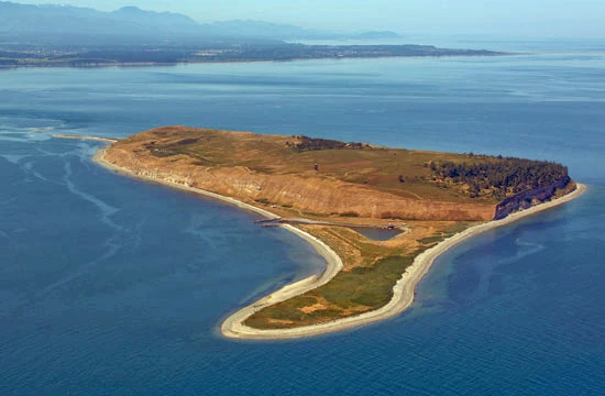 Protection Island (Jefferson County) | Washington State Wiki | Fandom