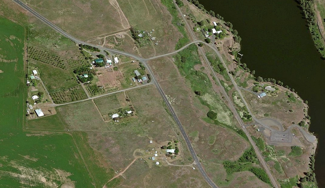 Amber | Washington State Wiki | Fandom