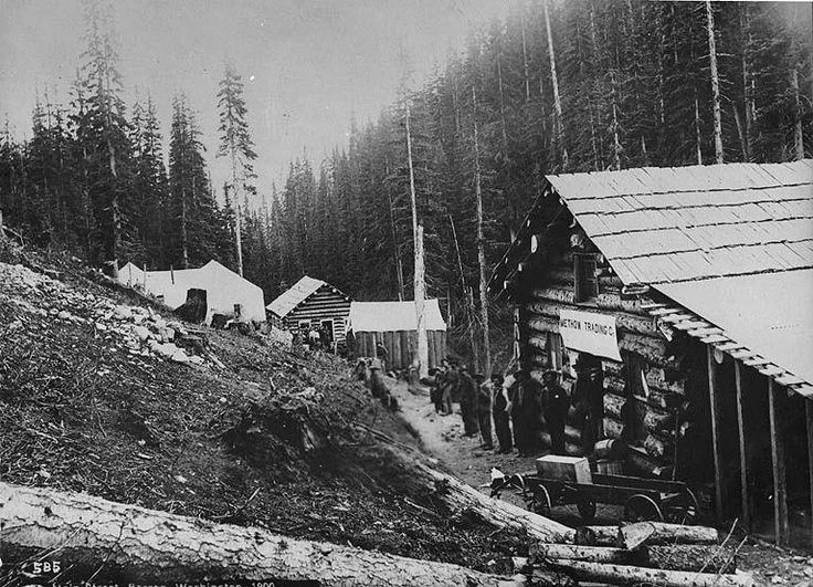 Barron | Washington State Wiki | Fandom