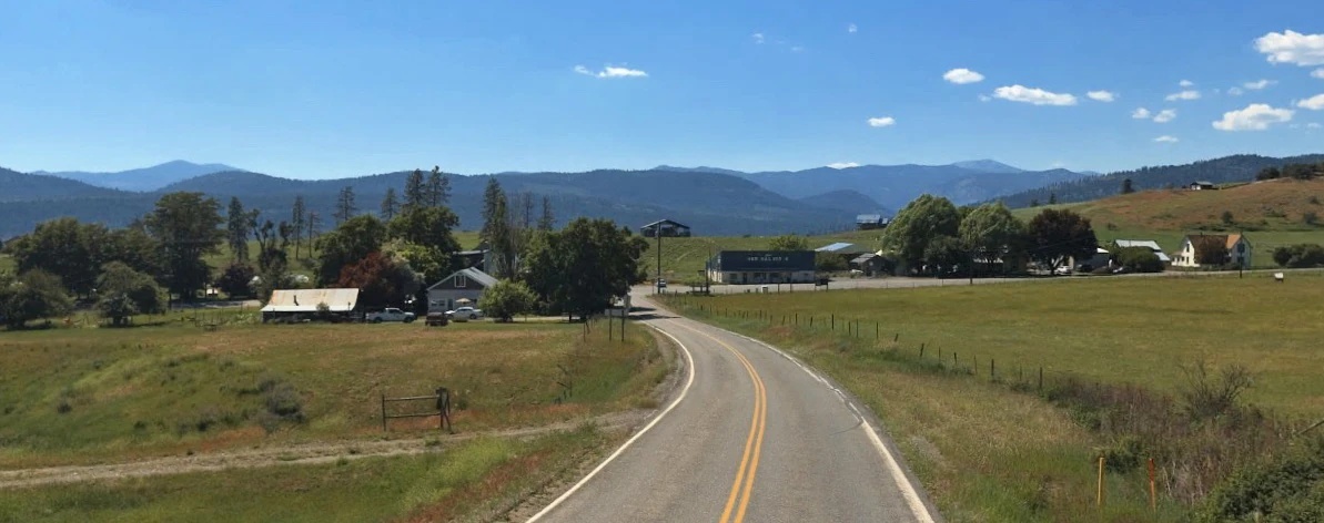 Rice | Washington State Wiki | Fandom