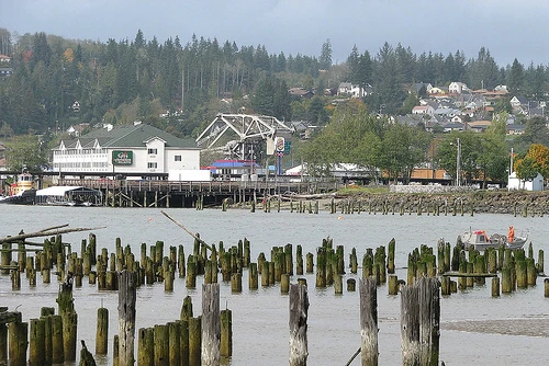 Chehalis River | Washington State Wiki | Fandom