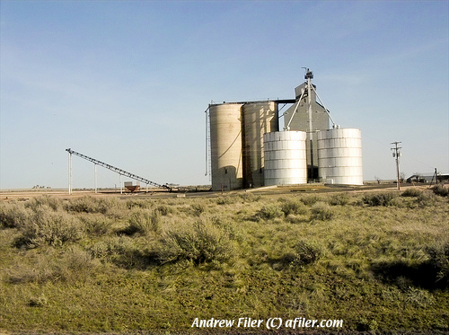 Marcellus | Washington State Wiki | Fandom