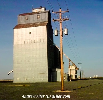 Tokio | Washington State Wiki | Fandom