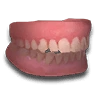 Cracked Dentures | Wasteland Wiki | Fandom