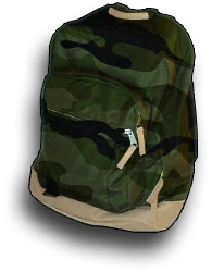 Backpack - Official Wasteland 3 Wiki