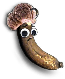 Sentient brainana - Official Wasteland 3 Wiki