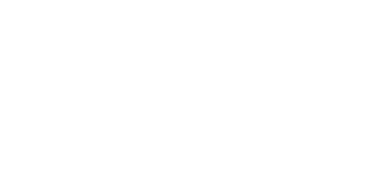 Blunderer - Official Wasteland 3 Wiki