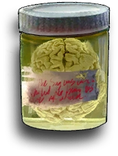 Brain jar - Official Wasteland 3 Wiki